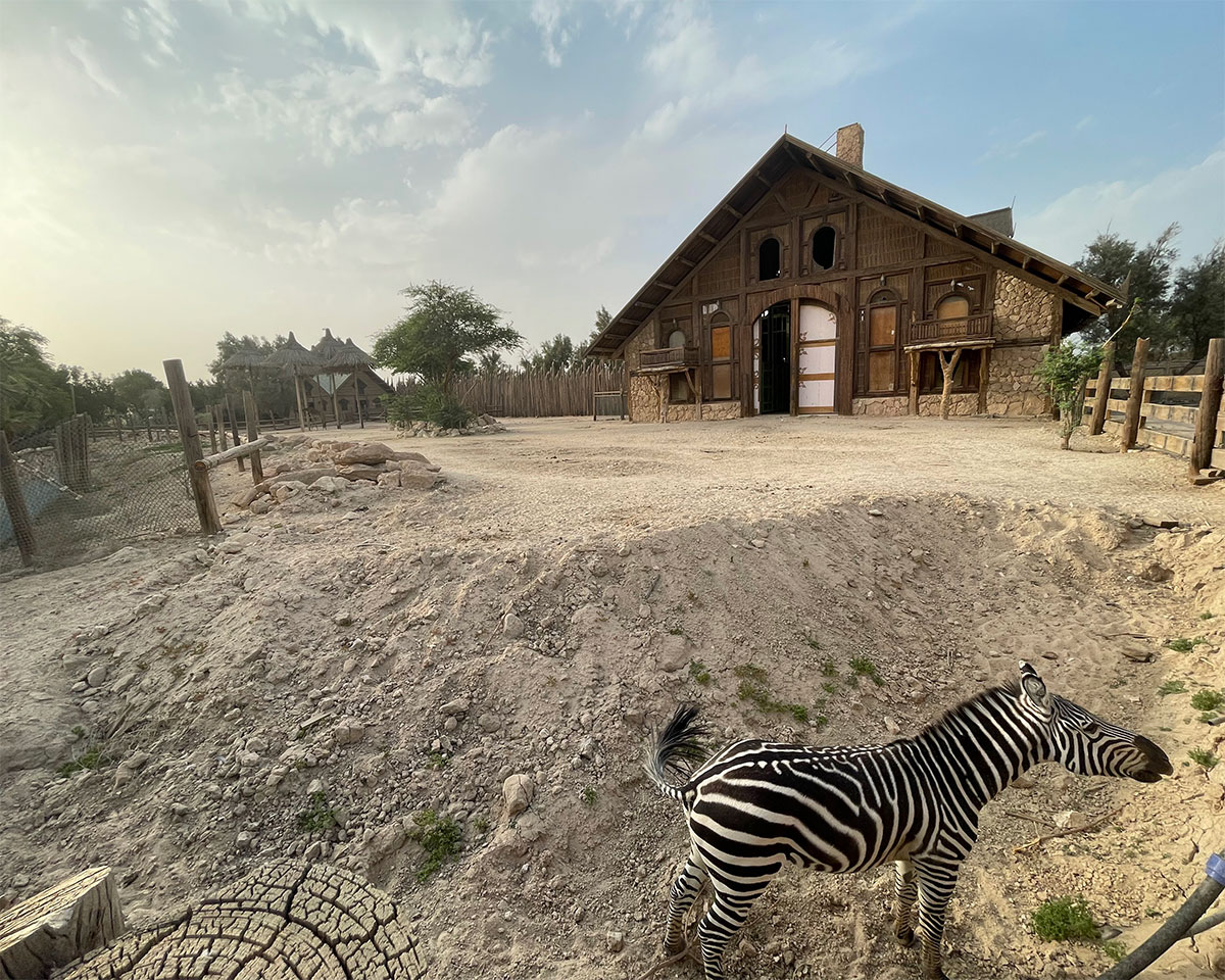 The Little Jungle – 2:48AM – Everything Kuwait