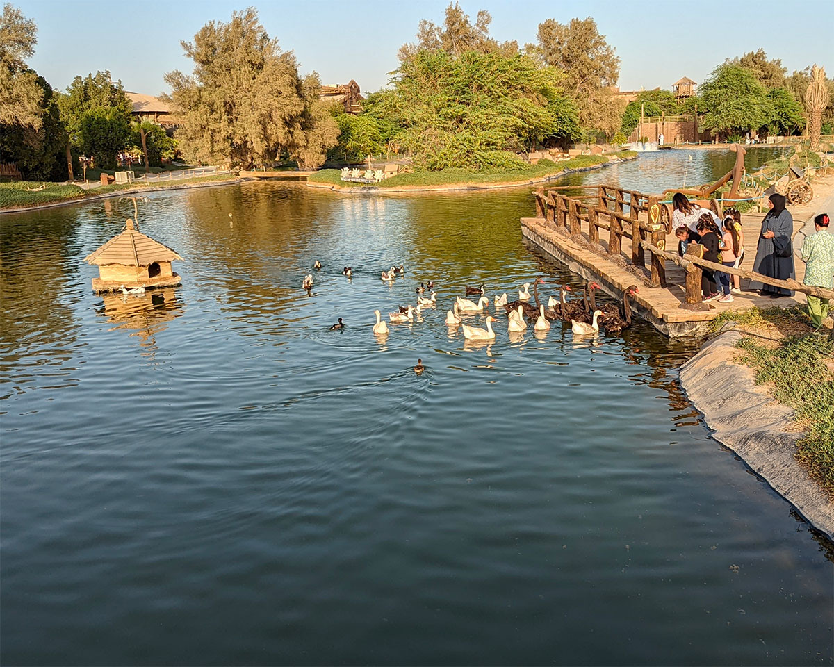 Animals & Wildlife – 2:48AM – Everything Kuwait